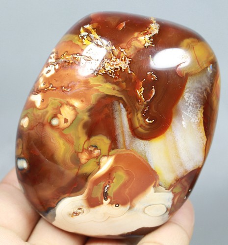 RARE ! ! Natural Red Carnelian Geode Crystal Quartz Agate Gem Specimen ...
