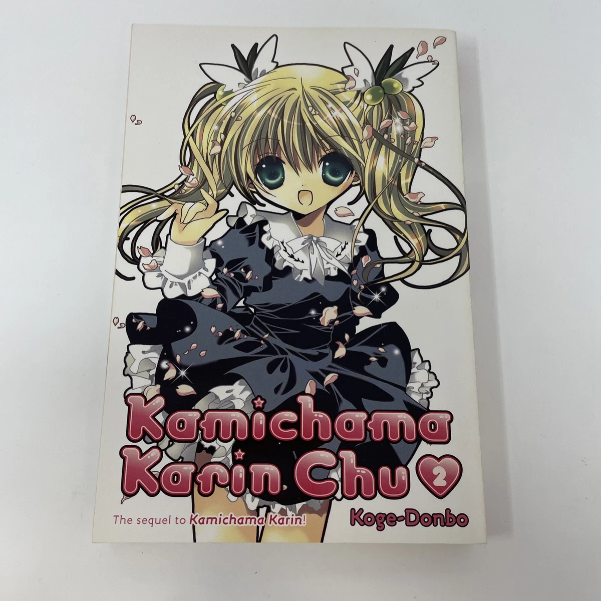 Kamichama Karin Characters