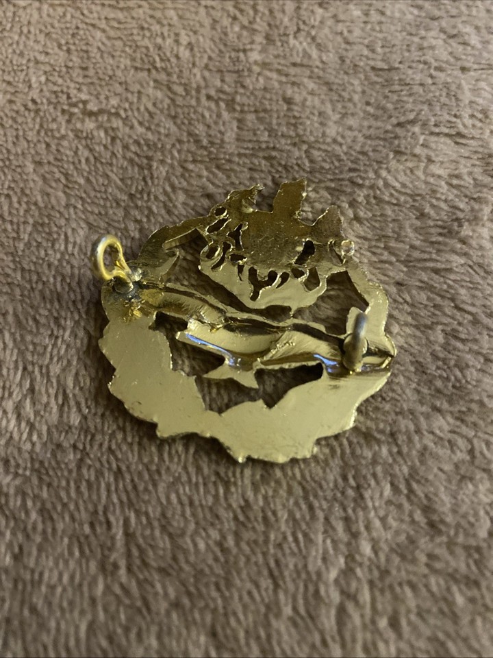 Royal Air Force RAF Master Aircrew Anodised/Staybrite Military Rank/Arm ...