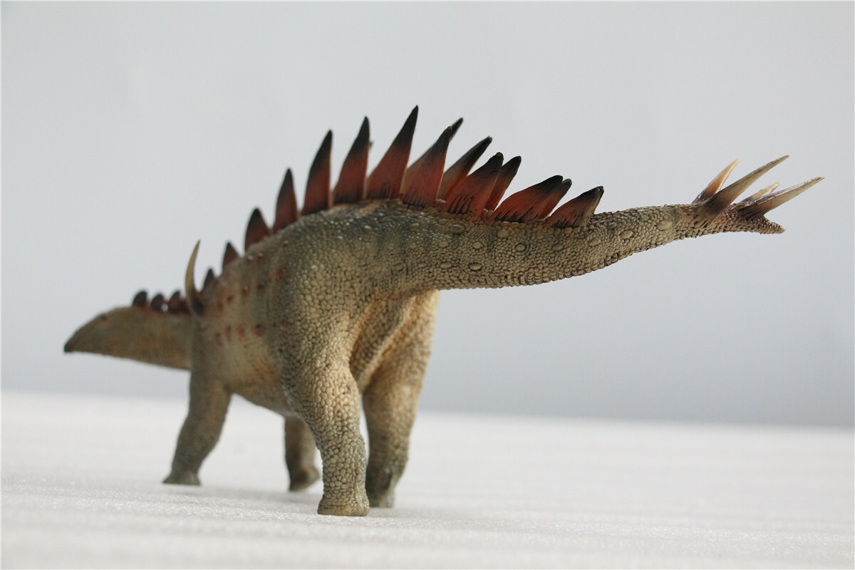 Tuojiangosaurus Vs Stegosaurus