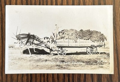 Original F.D. Conard Exaggeration Photo Postcard. Huge Grasshopper ...