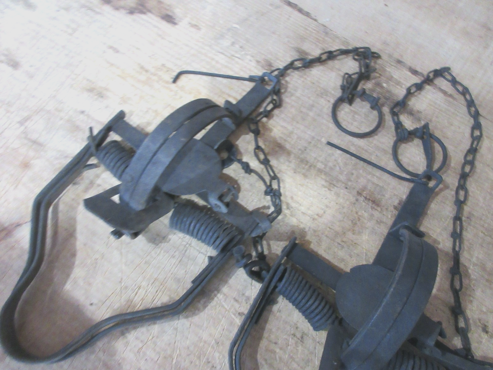 2 Antique Animal Traps Stoploss Gibbs Two Trigger Victor Cabin Decor ...
