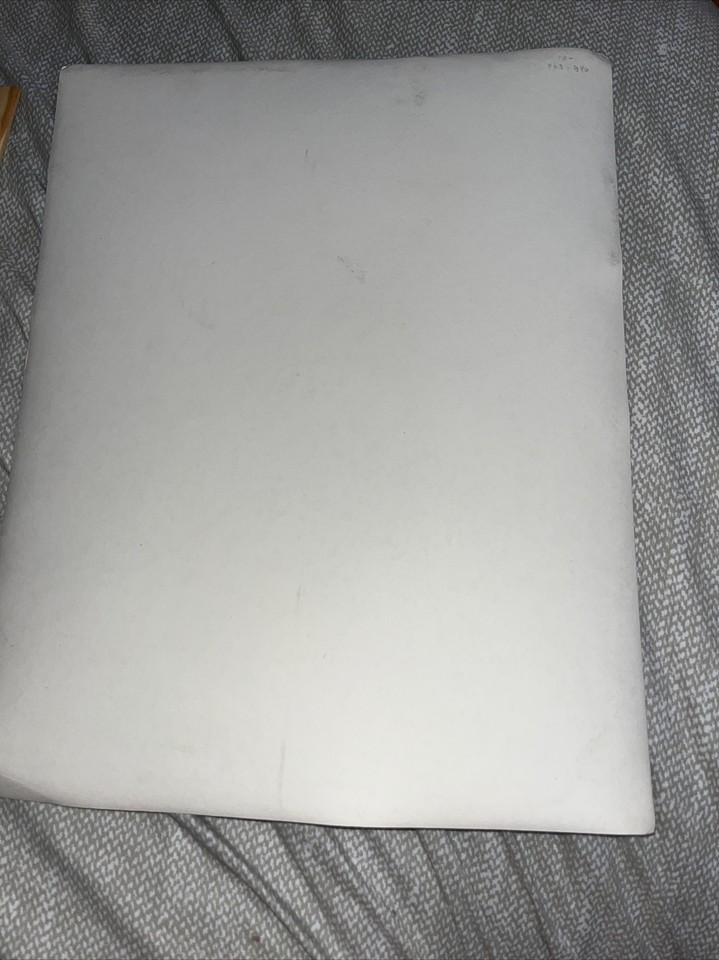 Large 11 x 14” Vintage Eclectic Photo: Pair Of Smiling Painted Monkeys ...