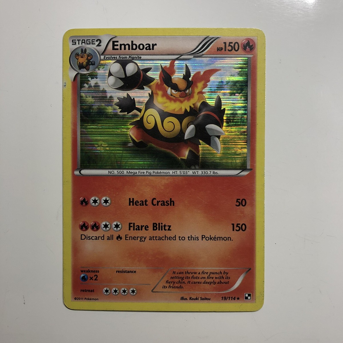 Tepig Evolution Chart