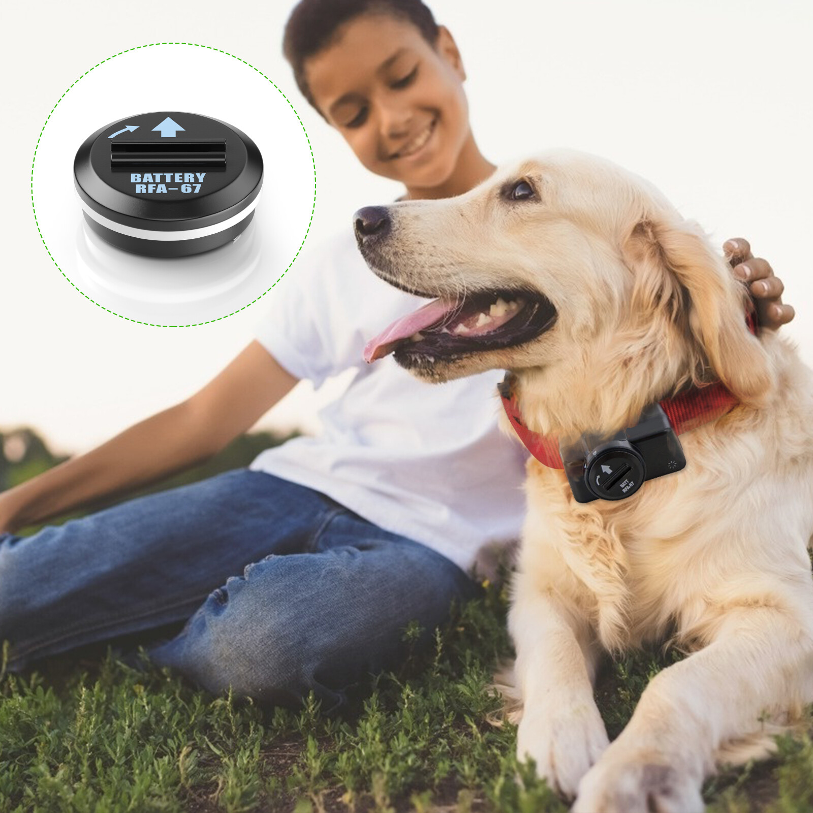 10packs 6V Pet Dog Collar Battery For PetSafe PIF-300 PIF-275-19 PUL ...