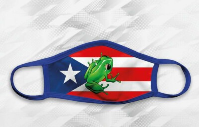 Puerto Rico Flag Boriqua Coqui Face Mask Triple Layered Protection ...