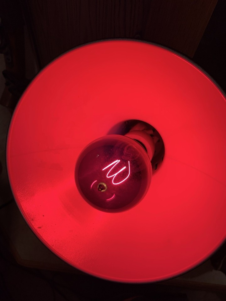 Vintage antique ? Ruby Red Light Bulb Edison ? | eBay