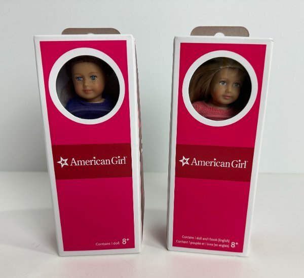 American Girl Of The Year Mini Doll Saige Copeland 2013 Isabelle Palmer ...