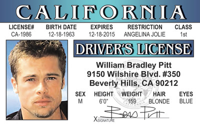 Brad Pitt novelty collectors id card Drivers License William Bradley ...