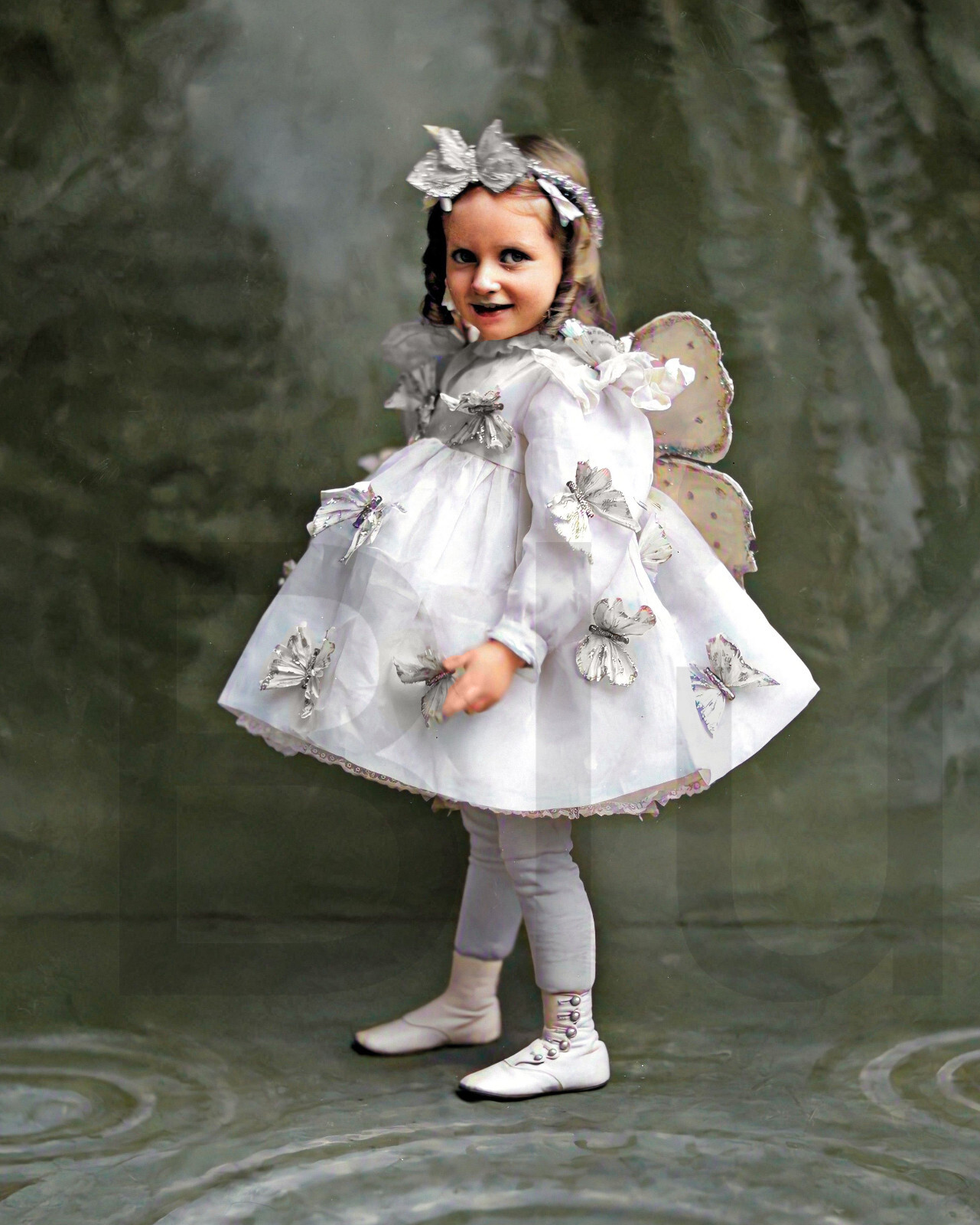 1894 Butterfly Princess 11 x 14" Photo Print | eBay