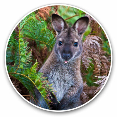 2 x Vinyl Stickers 15cm - Red Necked Wallaby Australia Cool Gift #12464 ...