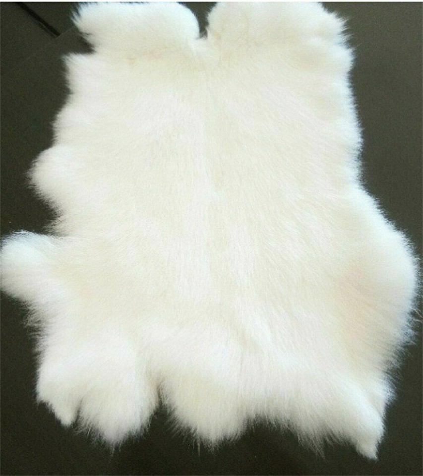 5X White Rabbit Skin Natural Real Fur Pelt Tanned Animal Leather ...