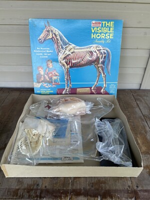Vintage 1961 The Visible Horse Assembly Kit 807 by Renwal | eBay