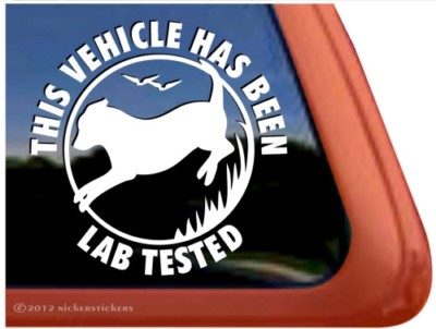 This Vehicle Has Been Lab Tested | Quality Labrador Retriever Dog Decal ...