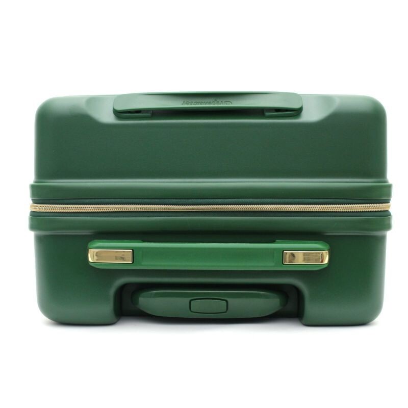 Disney Goofy Travel Luggage Carry on Suitcase Spinner TSA Lock 22 ...