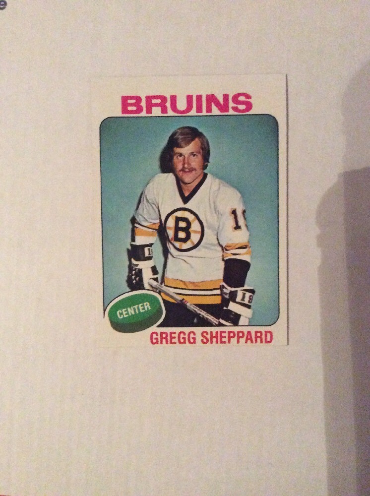 1975 O-PEE-CHEE HOCKEY GREG SHEPPARD #325 | eBay