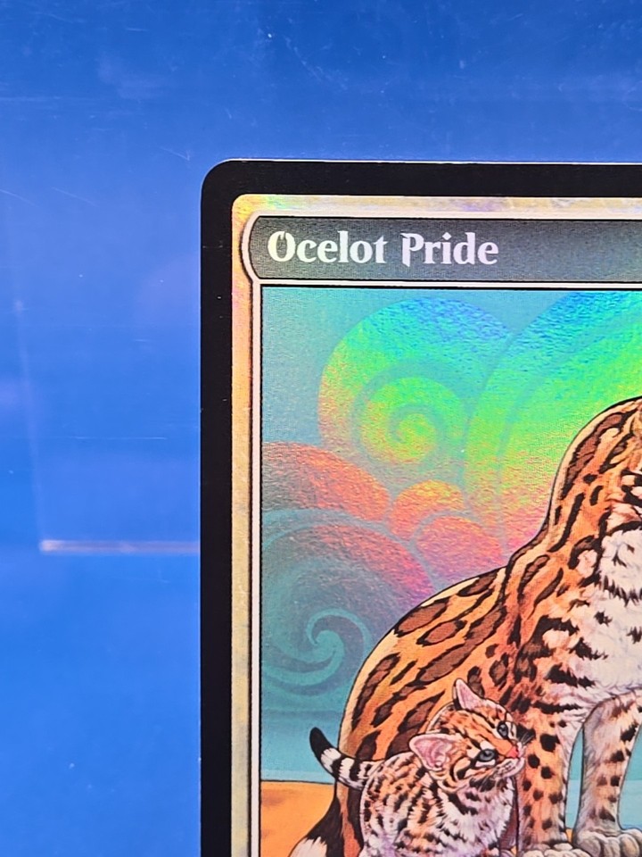 Ocelot Pride MTG textless Champion Store Promo Near Mint English MTG | eBay