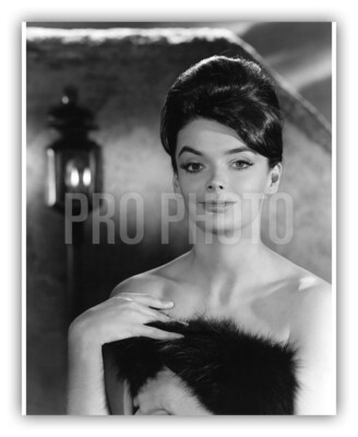 UK Barbara Steele 1959 Rare Press Photo Italian Gothic Horror Queen ...