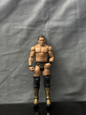 WWE Mattel Basic The Miz Action Figure | eBay