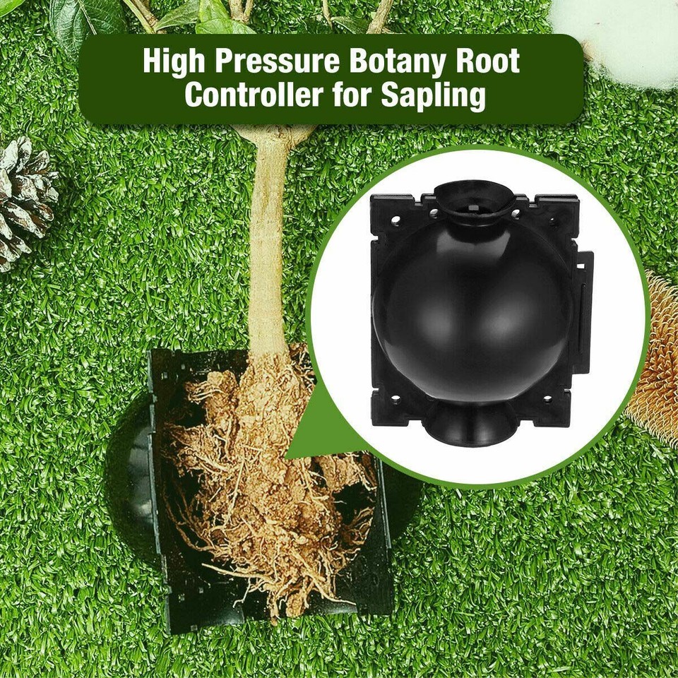 2/4/6/10 PCS Plant Rooting Device Grow Graft Box High Pressure ...