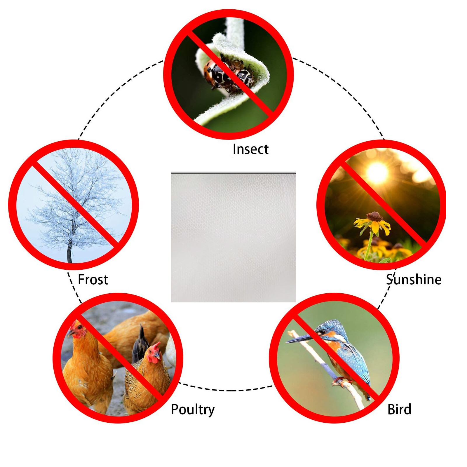 Insect Barrier Netting Mesh, Plant Cover for Protect Plant Fruits ...