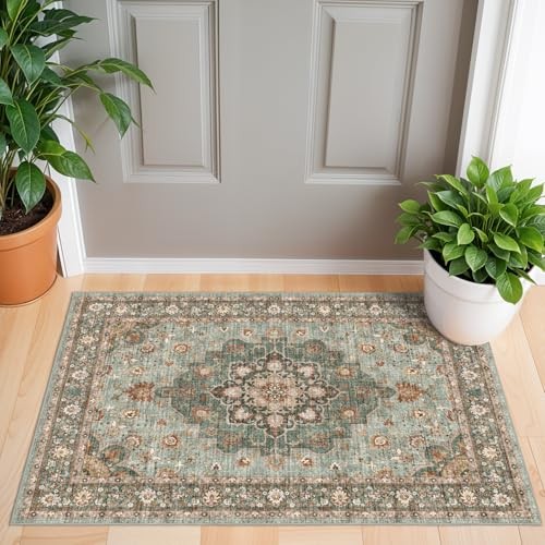 Washable Oriental Area Rug - 2x3 Rugs for Living 2' x 3' (Rectangular ...