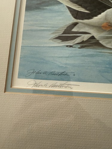 John A. Ruthven Limited Edition Signed Print “Mallard” | eBay