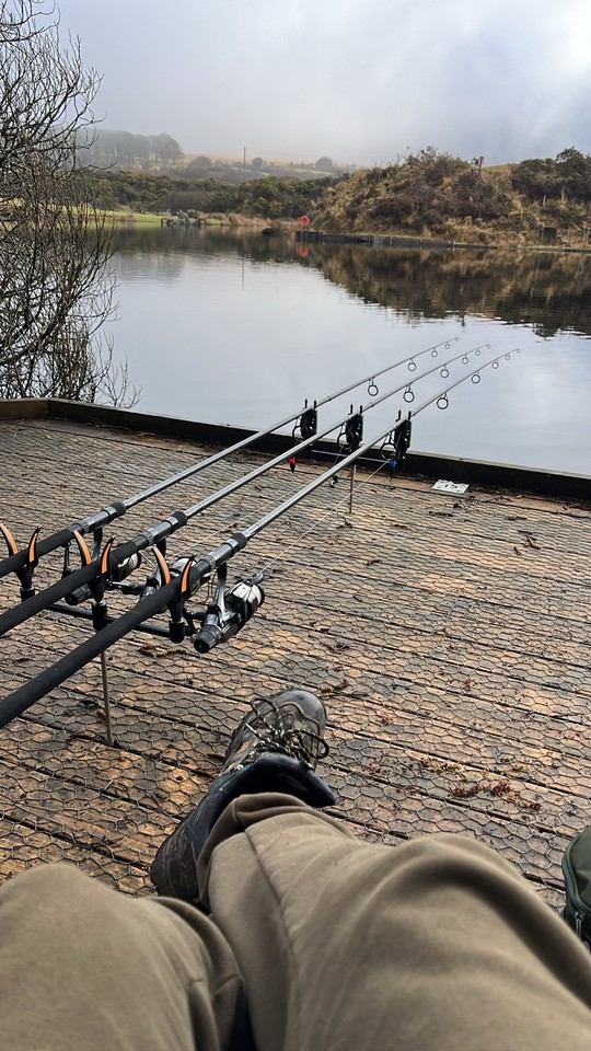 3x Wychwood Riot CARP Rods - 12ft -CARP FISHING RODS | eBay UK