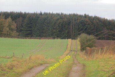 Wester Balbeggie Farm