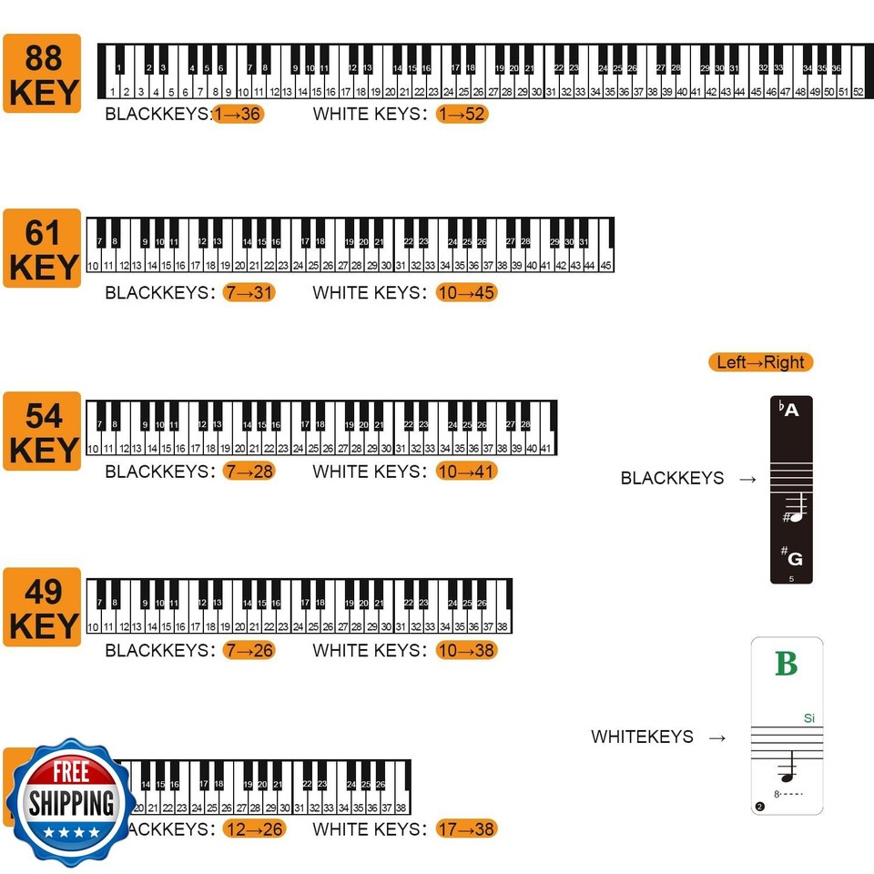 Removable Piano Keyboard Stickers with Piano Chord Chart Poster ...