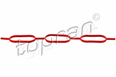TP Intake Manifold Gasket Fits AUDI A4 A6 SKODA Superb VW Passat ...