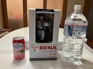 Rena Squad 1/6 Ultraman Tiga Cold Cast Figure Kaiyodo | eBay