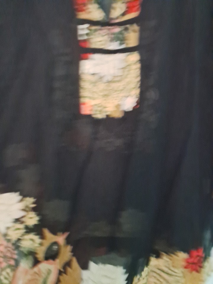 Citron Santa Monica Sheer Blouse Sz XL Cotton Silk Blend 3/4 Sleeve ...