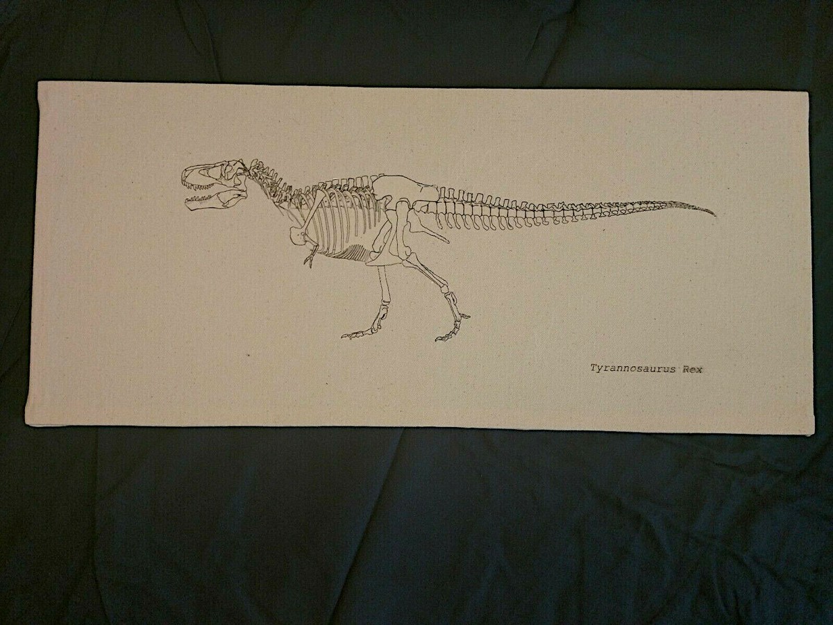 Tyrannosaurus Rex Skeleton Diagram