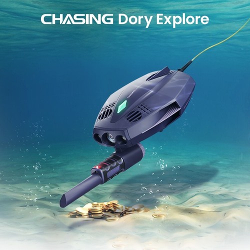 Chasing Dory explore with metal detector | eBay