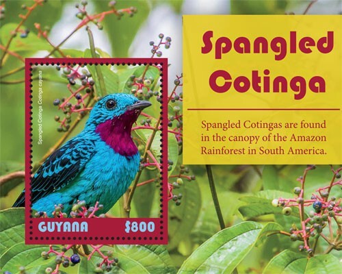 Guyana 2019 - Spangled Continga Bird - Souvenir stamp sheet - Scott ...