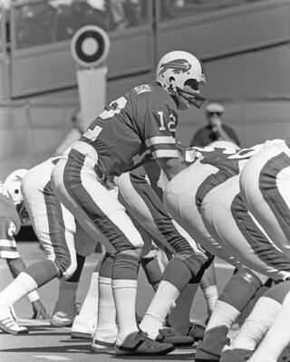 1981 Buffalo Bills JOE FERGUSON Glossy 8x10 Photo Football Print Poster ...