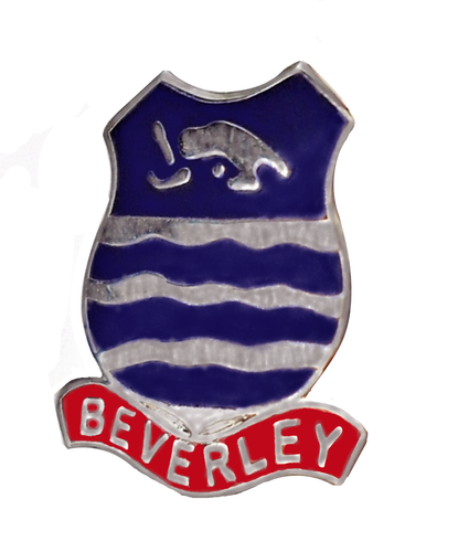 Beverley Town East Riding of Yorkshire County Crest Small Pin Badge | eBay