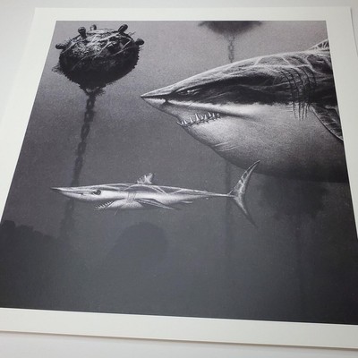 Finding Nemo Lithograph Bruce Sharks Pixar Disney Poster Art 13x13 ...