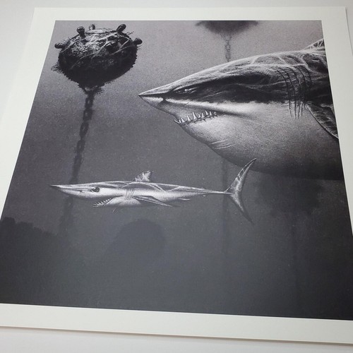 Finding Nemo Lithograph Bruce Sharks Pixar Disney Poster Art 13x13 ...