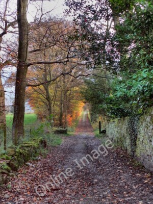Photo 6x4 Coach Road Hollingworth Track from Mottram Old Hall to Vale ...