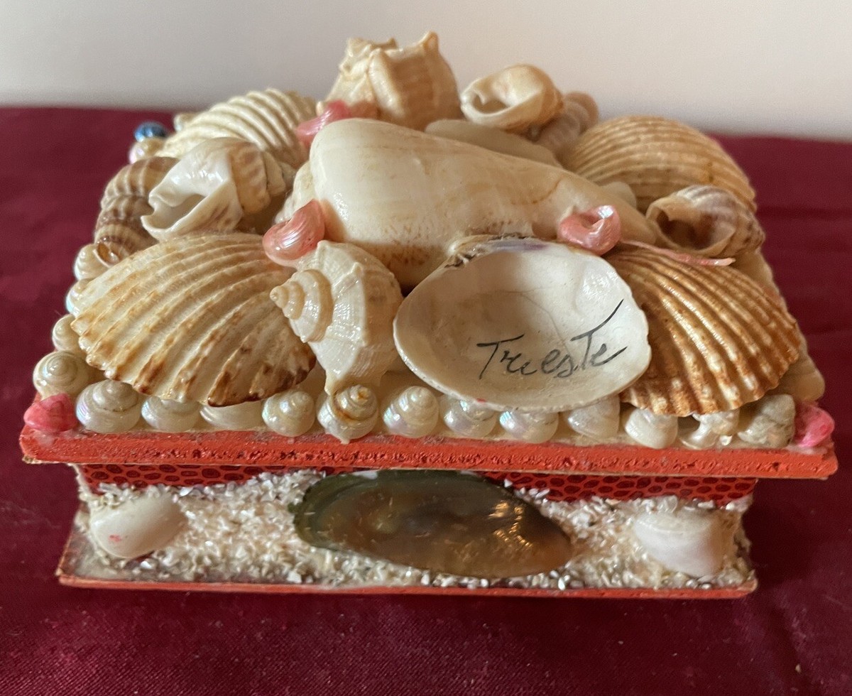 Negozio Animal I Trieste Weather The 10 Best Pet Friendly Hotels In