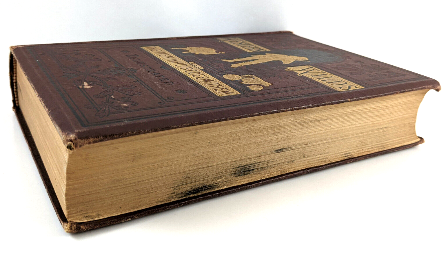 Western Wilds And The Men Who Redeem Them J H Beadle First Edition 1877 ...