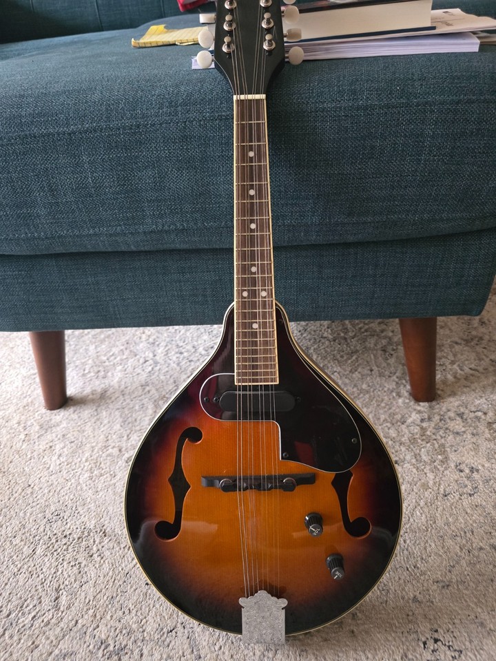 Fender FM-52E SB Acoustic Electric Mandolin Sunburst Tested Works | eBay