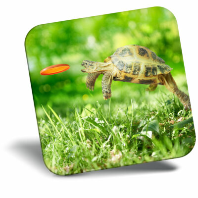 Awesome Fridge Magnet - Tortoise Turtle Jumping Frisbee Cool Gift ...