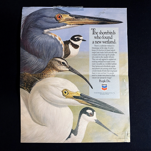 Print Ad 1990 Chevron Oil Refinery Gas People Do. Wetland Bird Nature ...