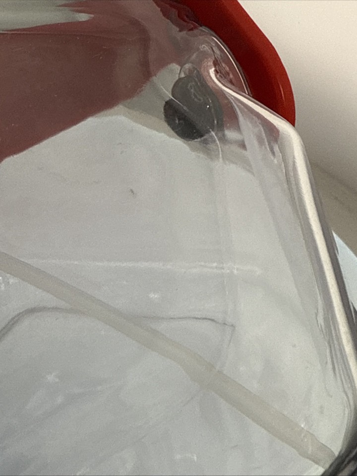 Rug Doctor DCC-1 Carpet Clean Water Tank Assy. W/ Cap OEM Rugdoctor DCC ...