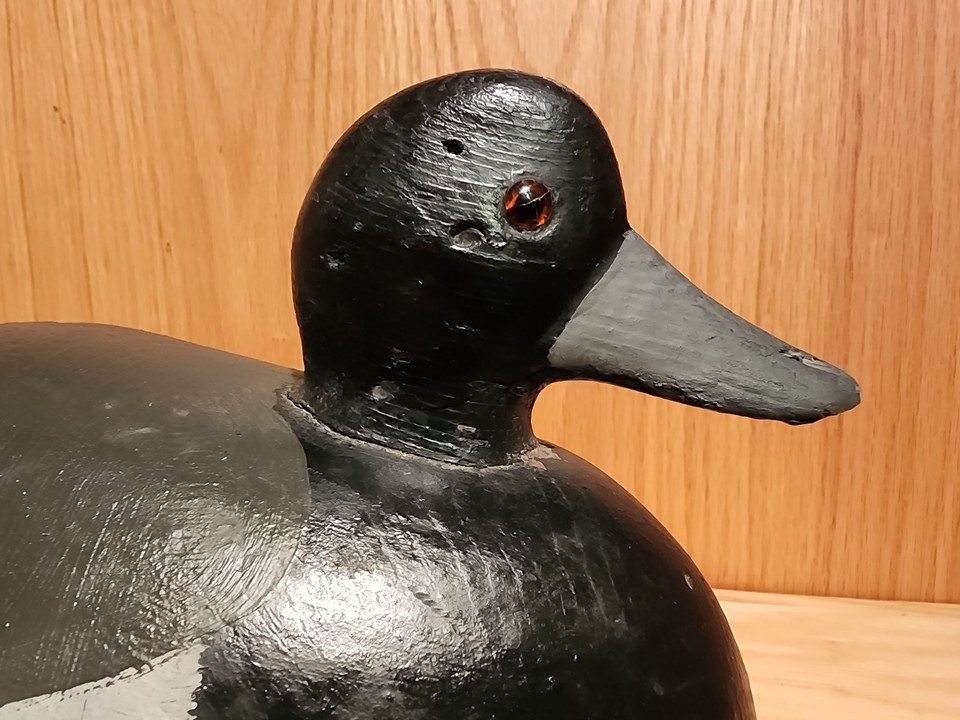 Stylish Old Glass Eyed Drake Bluebill Wooden Duck Decoy Ontario ...