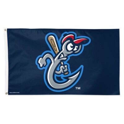 CORPUS CHRISTI HOOKS MASCOT LOGO 3'X5' DELUXE FLAG NEW WINCRAFT 🪝 | eBay