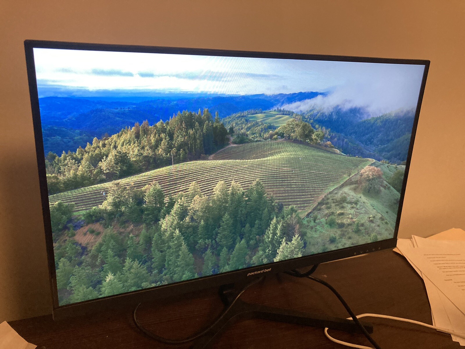 Packard Bell 21 Inch Computer Monitor 1920 x 1080 75Hz 5MS | eBay